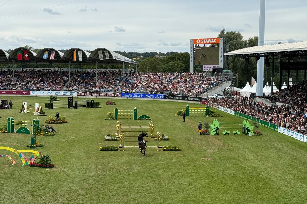 CHIO: André Thieme gewinnt den Großen Preis von Aachen - BRF Nachrichten