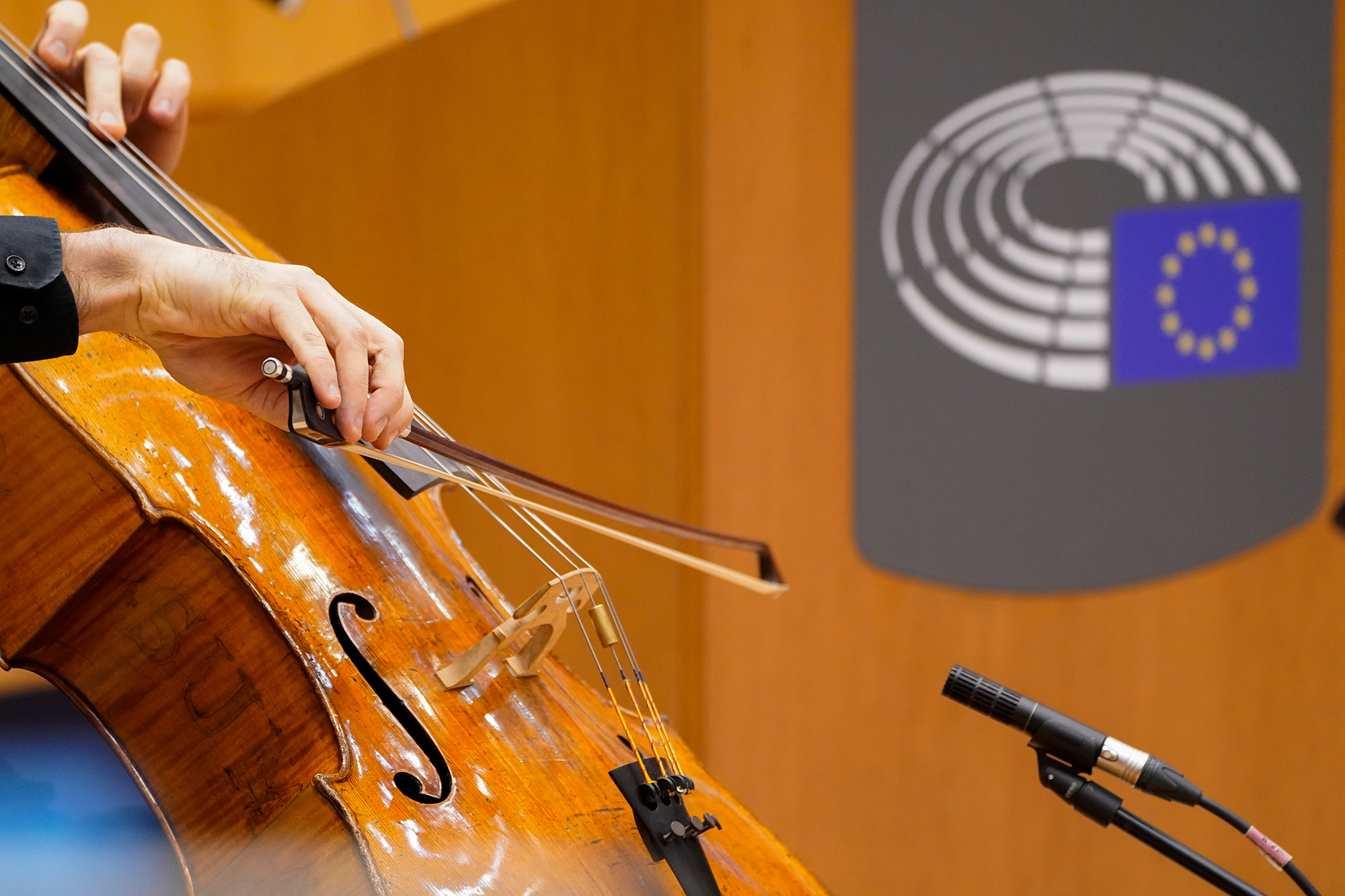 Holocaust-Gedenktag im EU-Parlament: Erinnerung an den Cellisten Paul ...